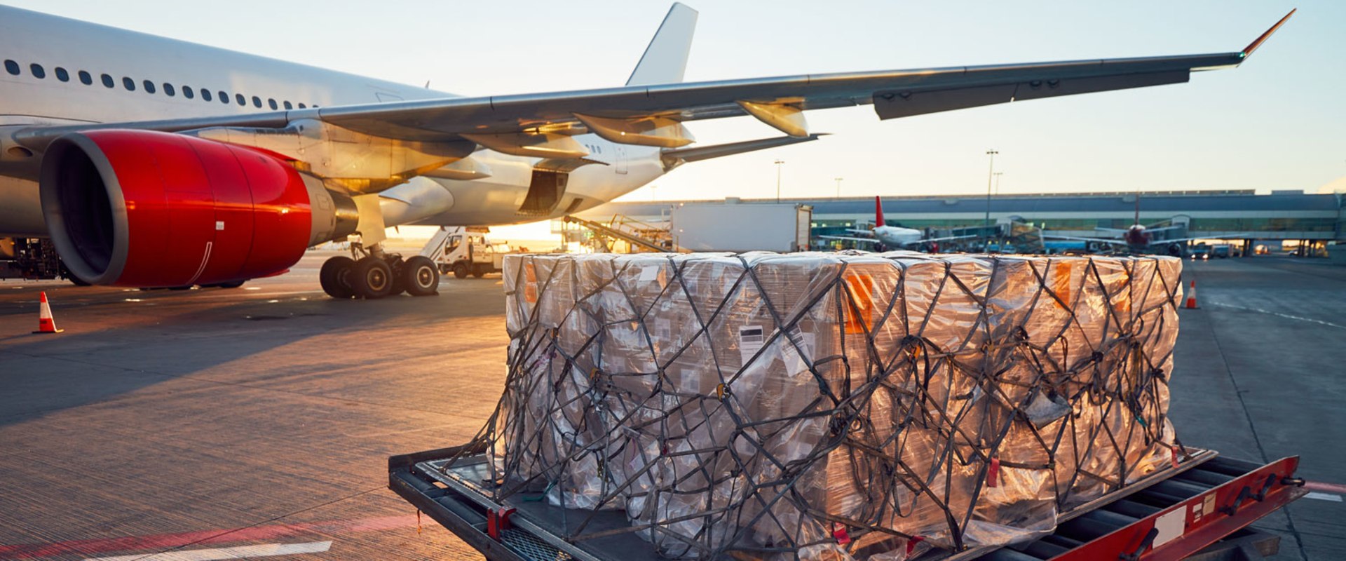 Why Should A Freight Shipment Company Rent An Aircraft For Seamless ...